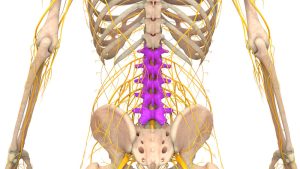 Symptoms of L4-L5 Nerve Damage: A Comprehensive Overview